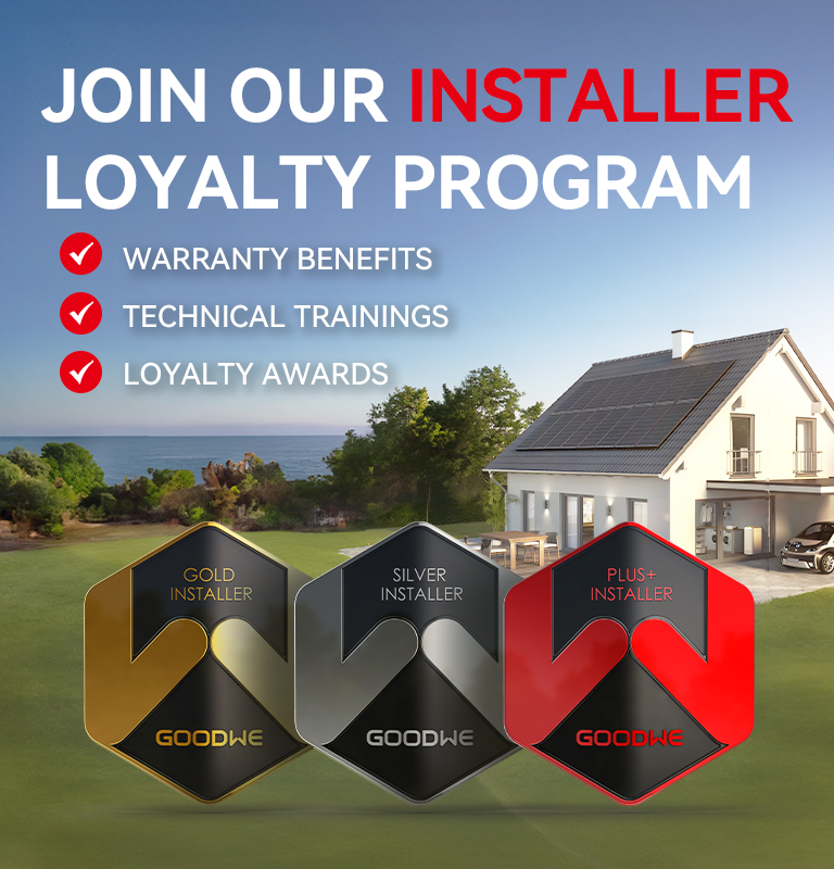 GoodWe EMEA: The Smart Energy Innovator